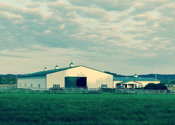 About – Open Sky Stables