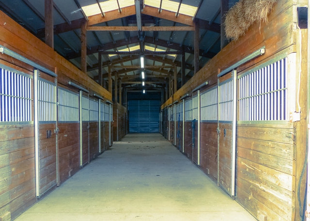 General Boarding – Open Sky Stables