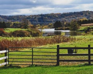 Open Sky Stables – Private, Peaceful, Professional