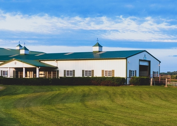 Retirement boarding – Open Sky Stables