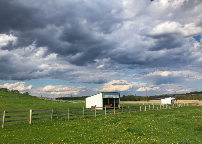 Gallery – Open Sky Stables
